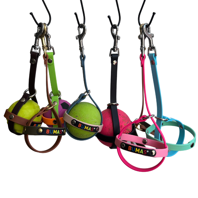 BUMAS ball holder made of BioThane®